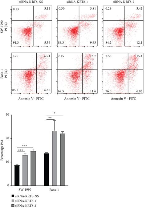 Examination Of The Migration And Viability Of Pdac Cells Upon Krt8