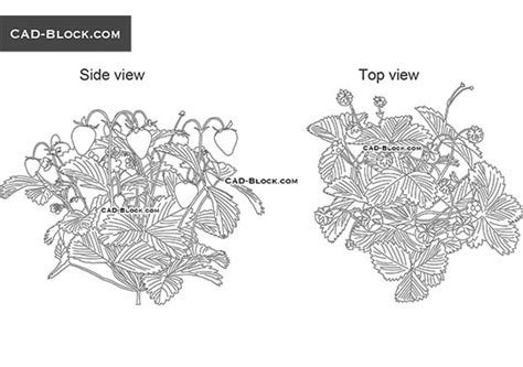 Trees And Plants Free Cad Blocks Dwg Files Download