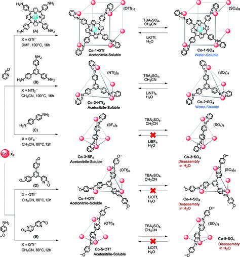 Subcomponent Self Assembly Of Coii Capsules Preparation Of Download Scientific Diagram