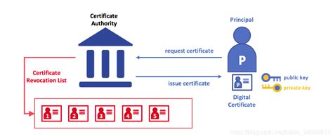Hyperledger Fabric是区块链中联盟链架构详细介绍hyperledger Fabric为上层应用提供的区块链服务不包括 Csdn博客