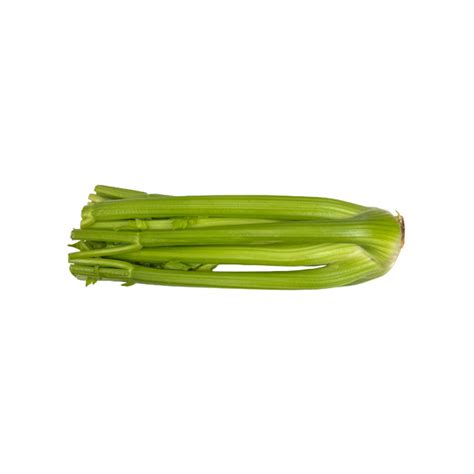 Celery Super Parsian