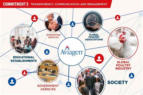transparency communication and engagement with society