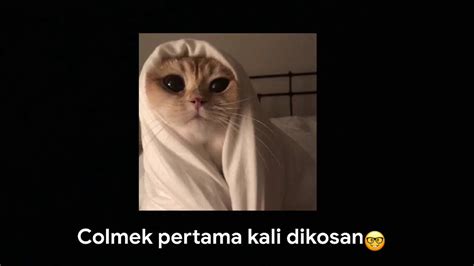 Stwcolmek Search Results 24vids