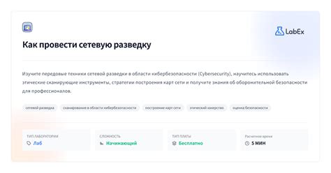 Как провести сетевую разведку labex