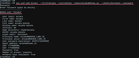 Cómo instalar el cliente FreeIPA en el servidor Ubuntu 18 04 HowtoForge