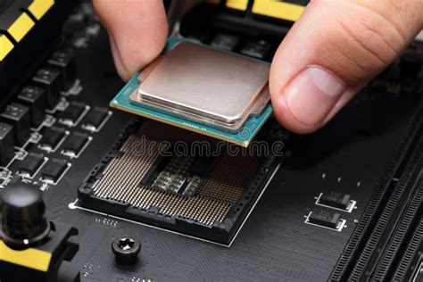 Installing The Processor In The Motherboard Socket Stock Photo Image