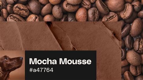 Pantone Color Of The Year 2025 Mocha Mousse Color Palettes Hex Codes And Brand Collaborations