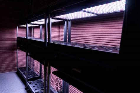 Simulação De Vida Em Marte Nasa Revela Base Impressa Em 3d Onde