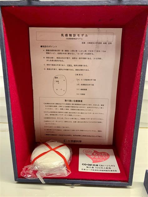 M44 Visual Tactile Breast Examination Simulator Kyoto Kagaku Looking