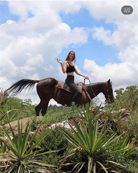 Calpan Entre Montañas Puebl