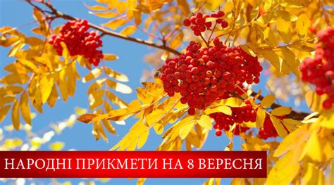 Прикмети на 8 вересня народні традиції та що не можна робити Новости