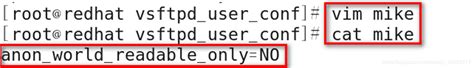 Linux环境下搭建ftp服务器，建立虚拟用户linux中ftp虚拟用户实验 Csdn博客