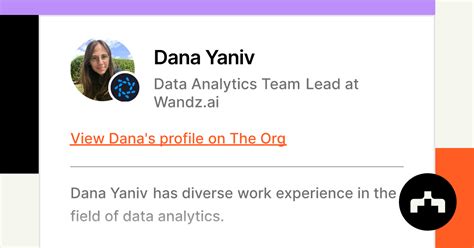 Dana Yaniv Data Analytics Team Lead At Wandzai The Org