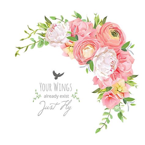 Best Ranunculus Illustrations Royalty Free Vector Graphics And Clip Art