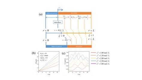 Spherical Particles Growth With Dynamics Oscillation During Lithium