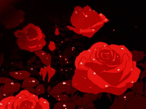 Anime Rose