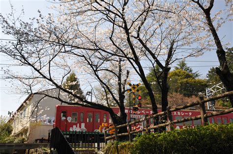 とり福 本店 とり福に夏が来ました。 蒸し鶏香味ソース キムチそぼろ奴 冷奴 山芋の短冊 茄子と若鶏の揚げびたし 夏のスパイシーフード釜飯