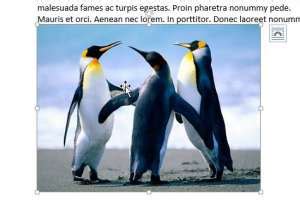 How To Add A Link To A Picture In Microsoft Word 2013 Solve Your Tech