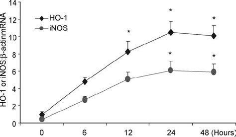 Quantification Of Ho 1 And Inos Mrna Expression As Assessed By Real