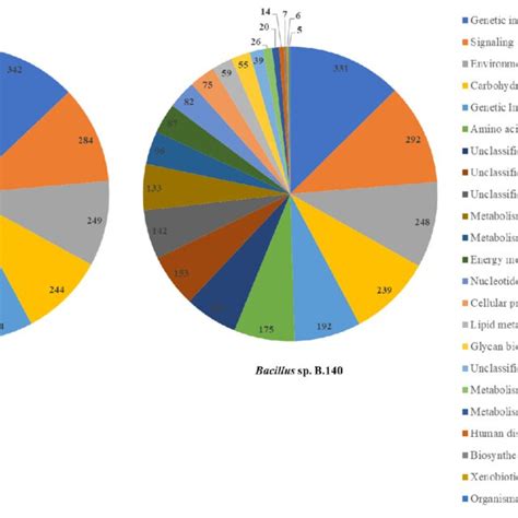 Genome Annotation Of Bacillus Sp B48 And Bacillus Sp B140 By
