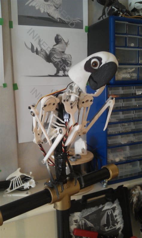Diy Compact D Printed Animatronic Eye Mechanism Artofit