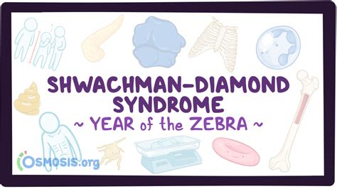 Rare Disease Education Shwachman Diamond Syndrome Sustainable
