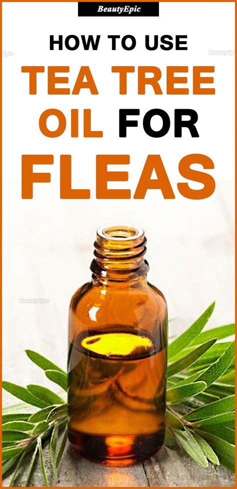 Will Tea Tree Oil Kill Fleas In Human Hair At Alma Jones Blog