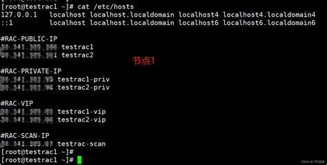 Oracle 19c 集群rac安装（基于nfs共享存储）oracle 19c Rac安装 Csdn博客