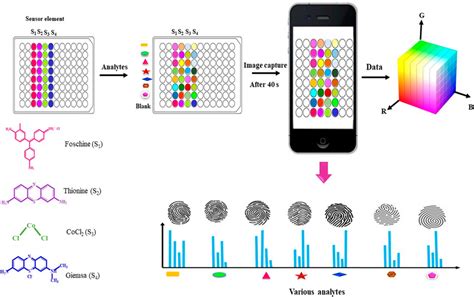 Schematic Representation Of The Colorimetric Sensing Procedure And