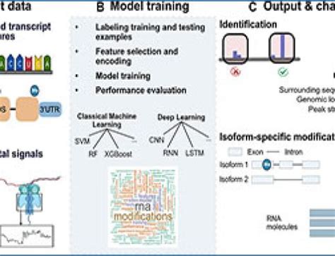 Introduction To Rna Sequencing And Analysis Rna Seq Blog