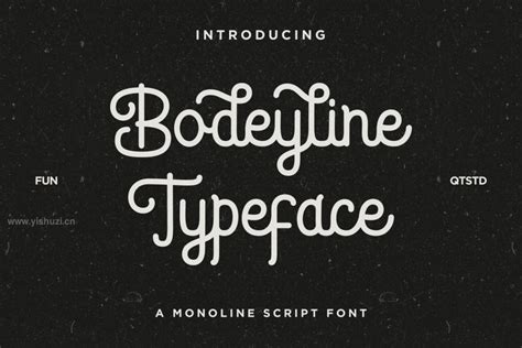 现代简洁优雅的英文单线条花体字体 Bodeyline 艺字网