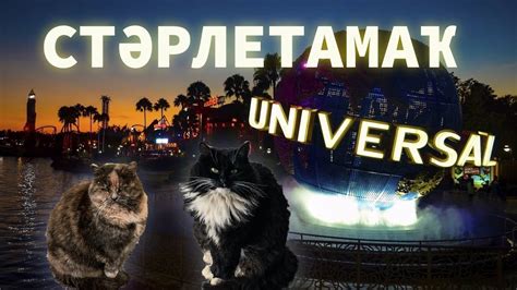 Стерлитамак. Вторая столица Башкирии. Почему тут интересно побывать ...