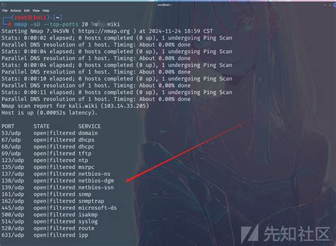 渗透测试 红队之信息收集 先知社区