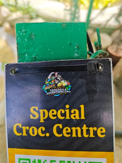 Crocodile Adventureland Langkawi Pengalaman Menyeronokkan Bersama