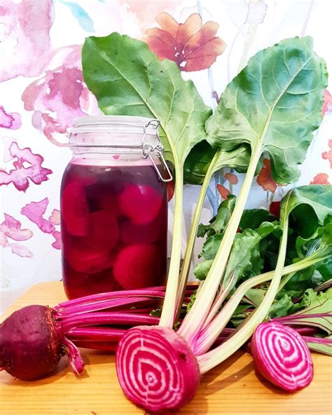 Pickled Beetroot Recipe Permaculturewest