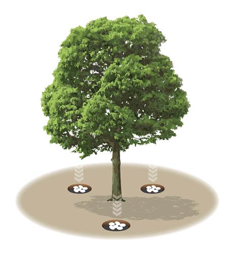 Application Method Greenfeed® Slow Release Fertilizer