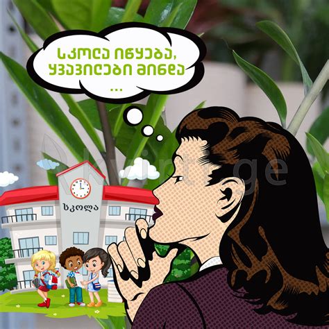 მცენარეები საკლასო ოთახისთვის 🪴🪴 ზამიოკულკასი კალანხოე 25 ლარად