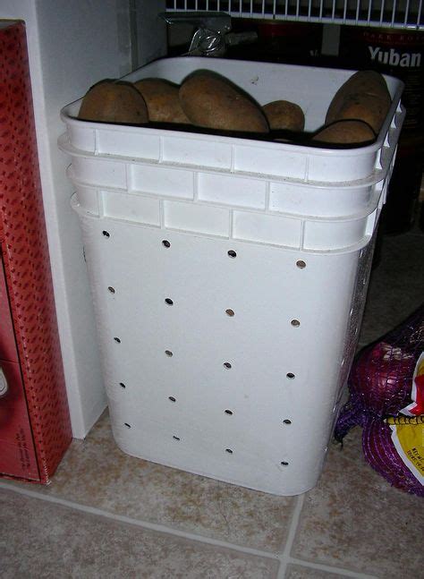 10 Best Recycled Kitty Litter Buckets Ideas Cat Litter Tidy Cats