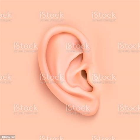 현실적인 인간의 귀 근접 촬영으로 벡터 배경입니다 디자인 서식 파일 본문 웹 응용 프로그램 포스터 Infographics 등