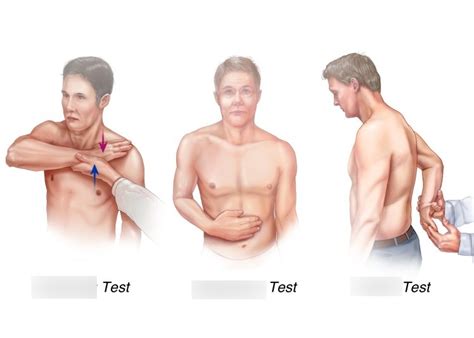 Subscapularis Tests Diagram Quizlet