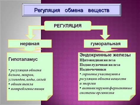регуляция обмена веществ | Углубленное изучение биологии, Молекулярная ...