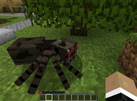 The Limit Minecraft Server