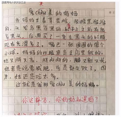 学生搞笑作业：爱臭美的妈妈骗子