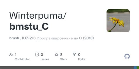 Github Winterpuma Bmstu C Bmstu Iu C