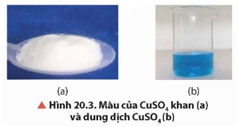 Em Hãy Vẽ Sơ đồ Tư Duy Mô Tả Một Số ứng Dụng Của Phức Chất