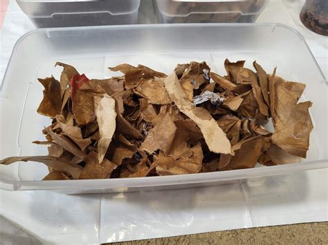 How To Set Up A Worm Farm