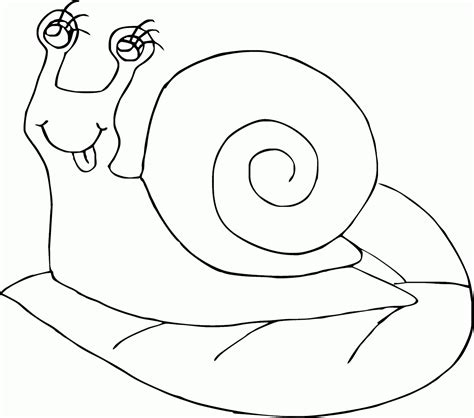 Detail Sketsa Gambar Siput Koleksi Nomer 27