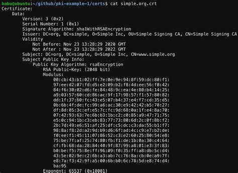 Github Sjsu Cmpe272simple Pki A Simple Pki Infrastructure