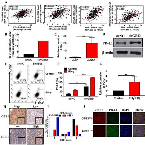 Involvement Of Sting Signaling In Ccl5 And Cxcl10 Expression After Gbe1