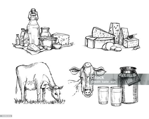 손으로 그린 벡터 일러스트 레이 션 우유 농장입니다 치즈와 우유 를 설정합니다 스케치 스타일에서 디자인 요소입니다 포장 메뉴 카드에 대 한 완벽 한 치즈보드에 대한 스톡